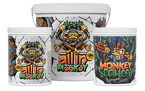 Inicio - Monkey Soil