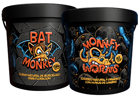 Inicio - Monkey Soil