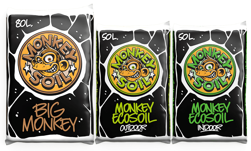 Inicio - Monkey Soil